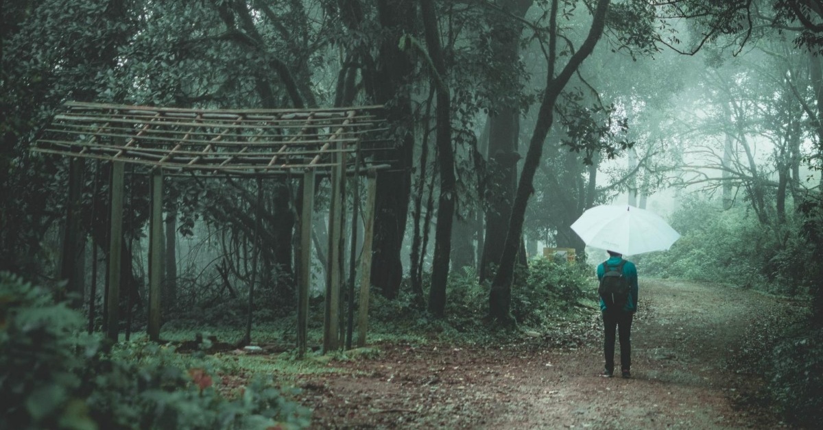 Rani Jhari: Unexplored wonder in Chikmagalur-Tour guide – SOUNDOFTHESHUTTER