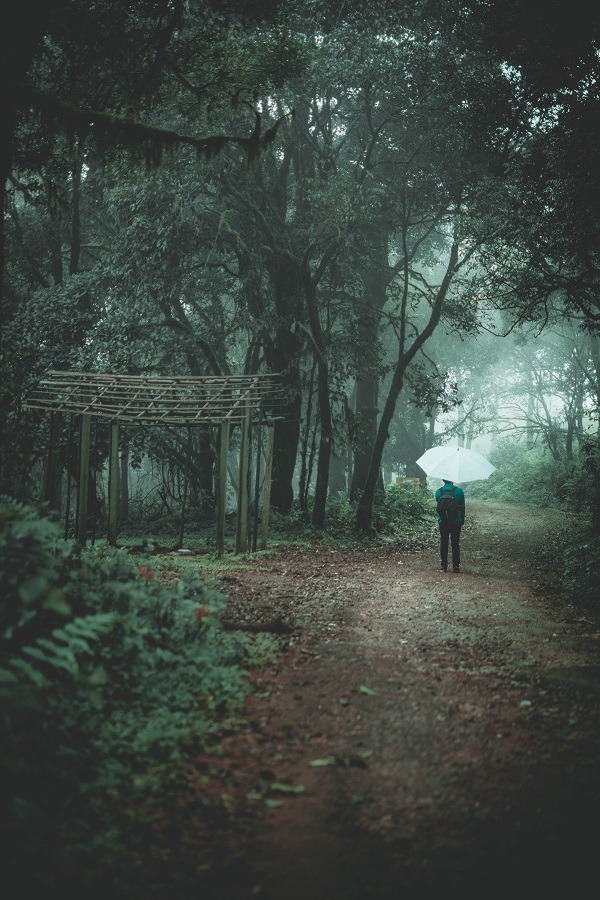 Rani Jhari: Unexplored wonder in Chikmagalur-Tour guide – SOUNDOFTHESHUTTER